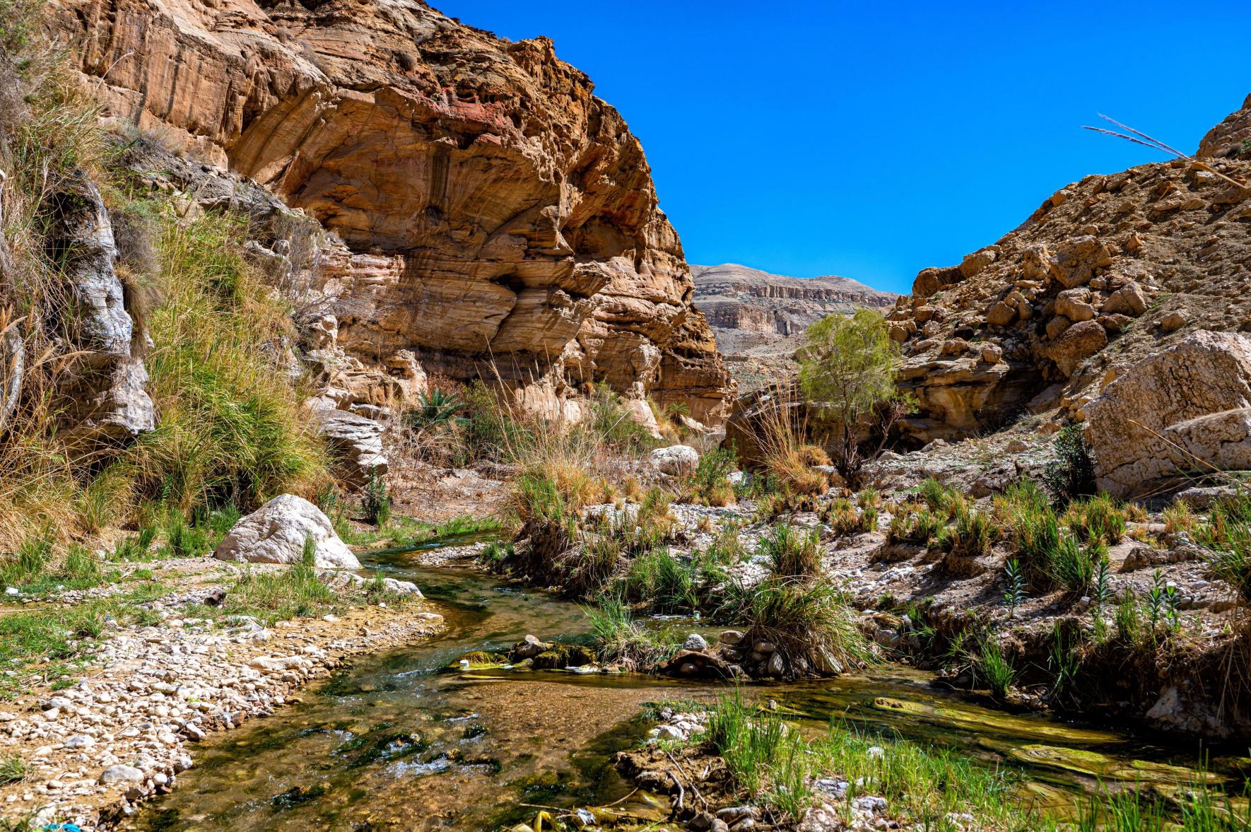 Why Jordan is perfect for a family adventure — especially now | Jordan ...