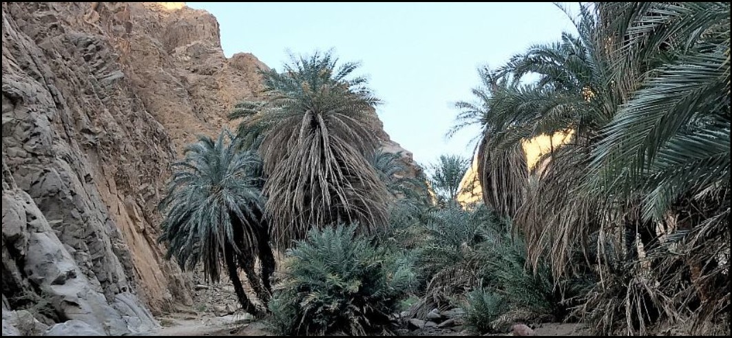 10-Day Biblical Heritage Pilgrimage Tour: Exploring Jordan