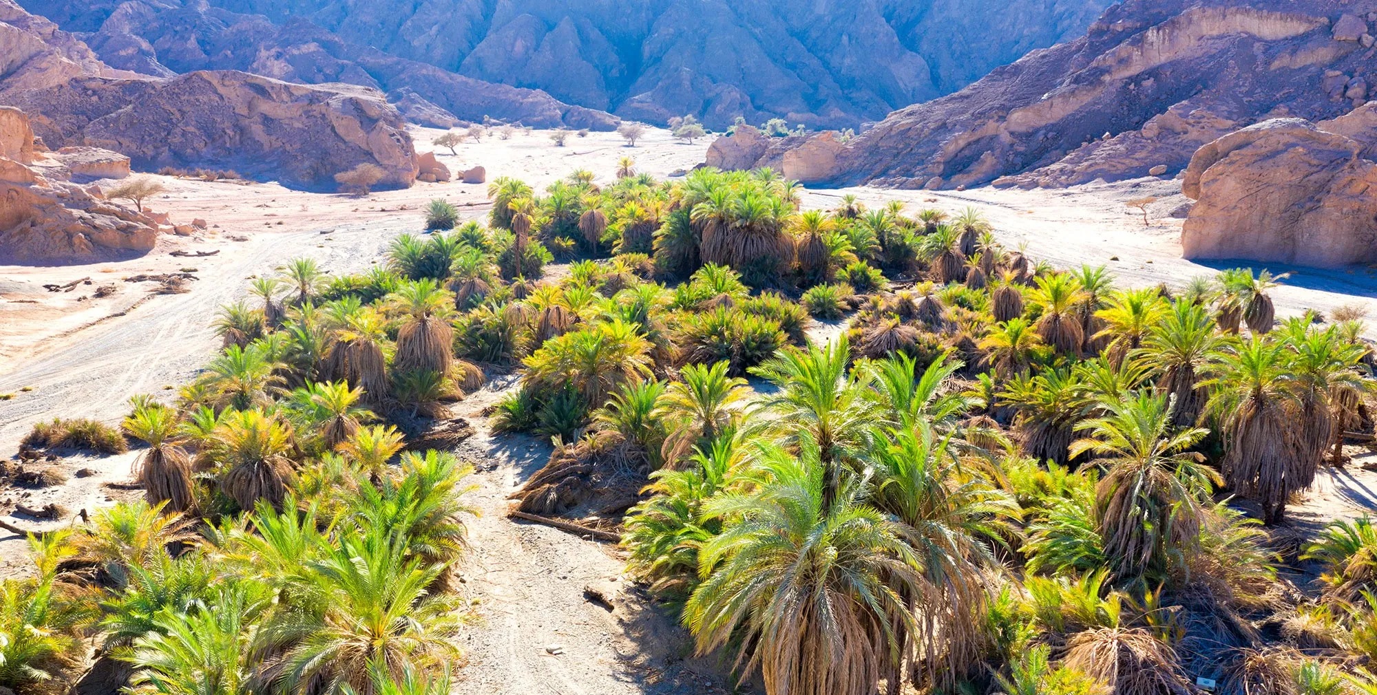 Biblical Tour Options to Saudi Arabia from Jordan – An Extension of ...